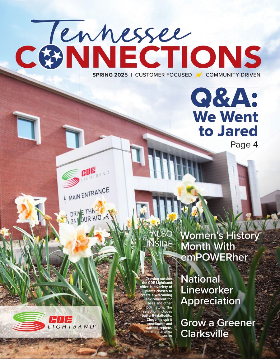 TN Connections: Spring 2025 by CDE Lightband - Flipsnack