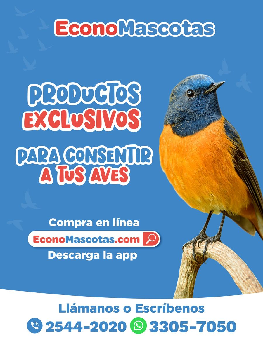 EconoMascotas Aves by Súper Farmacia... - Flipsnack