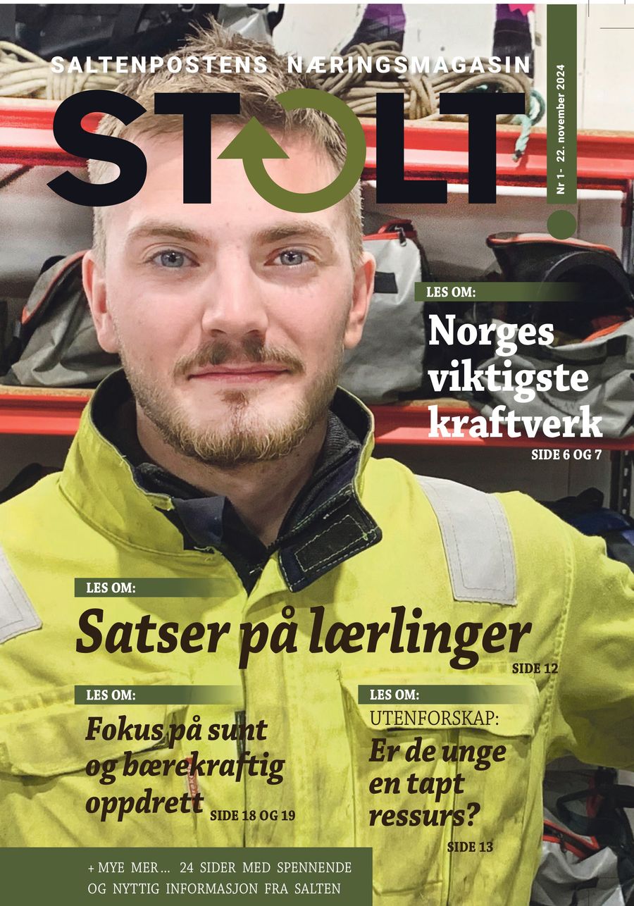 STOLT by Superb Design - Flipsnack