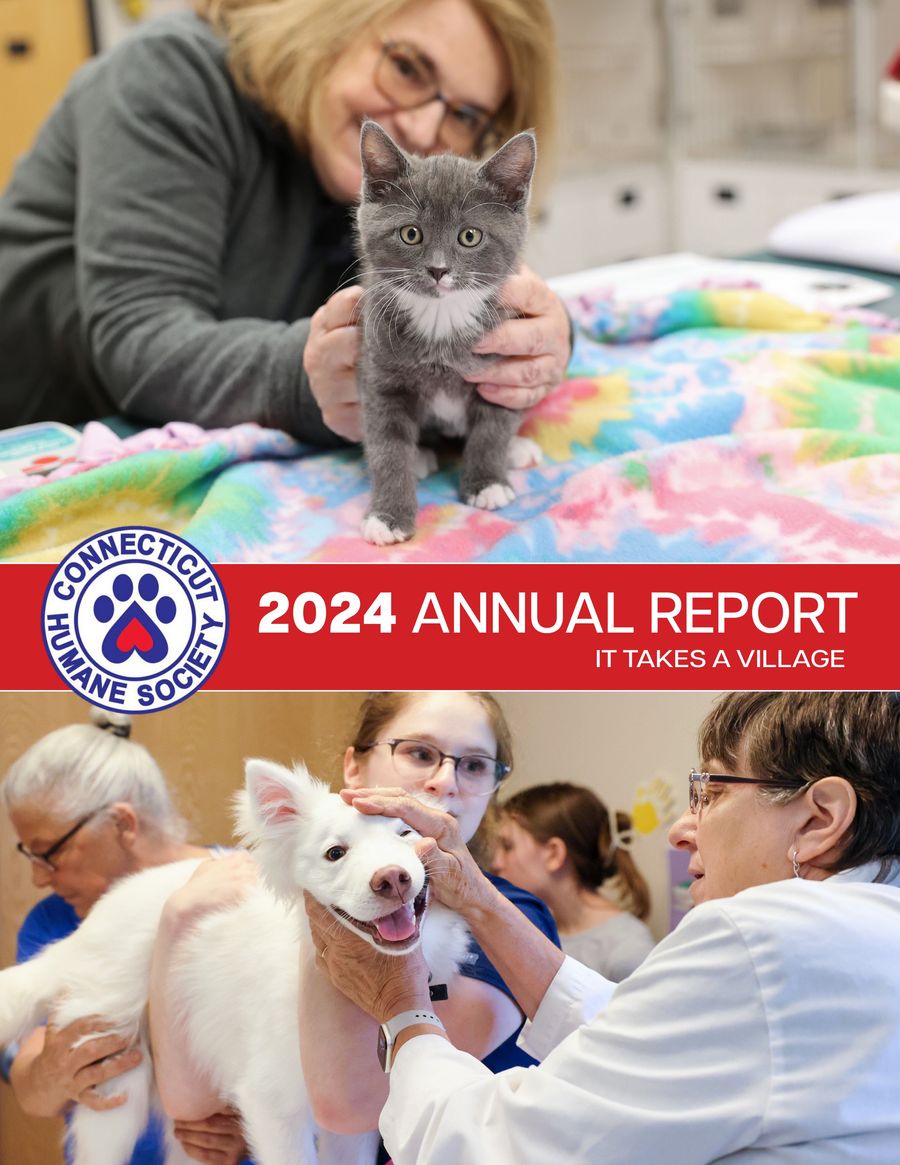 2024 Annual Report by... - Flipsnack