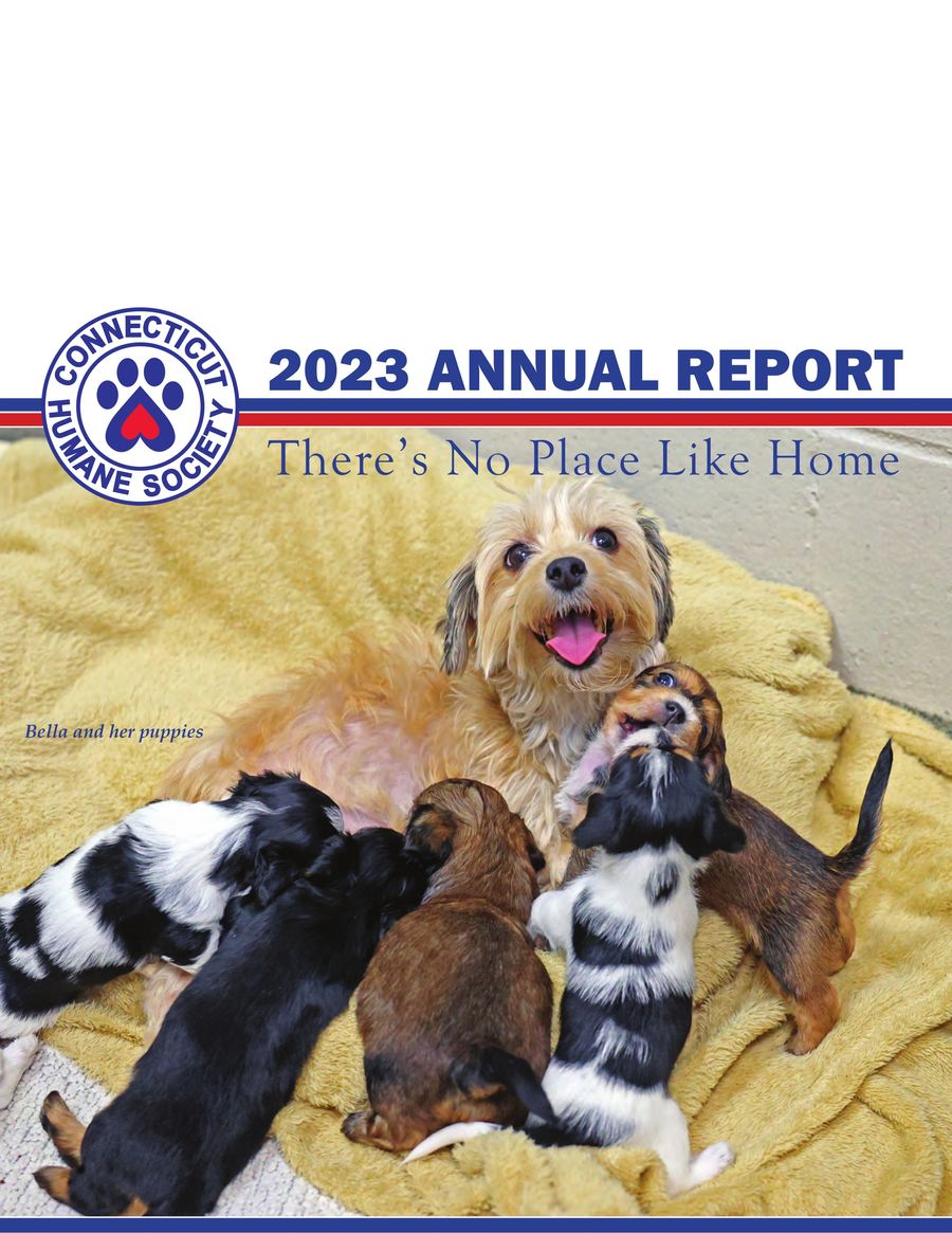 2023 Annual Report Final PDF by... - Flipsnack