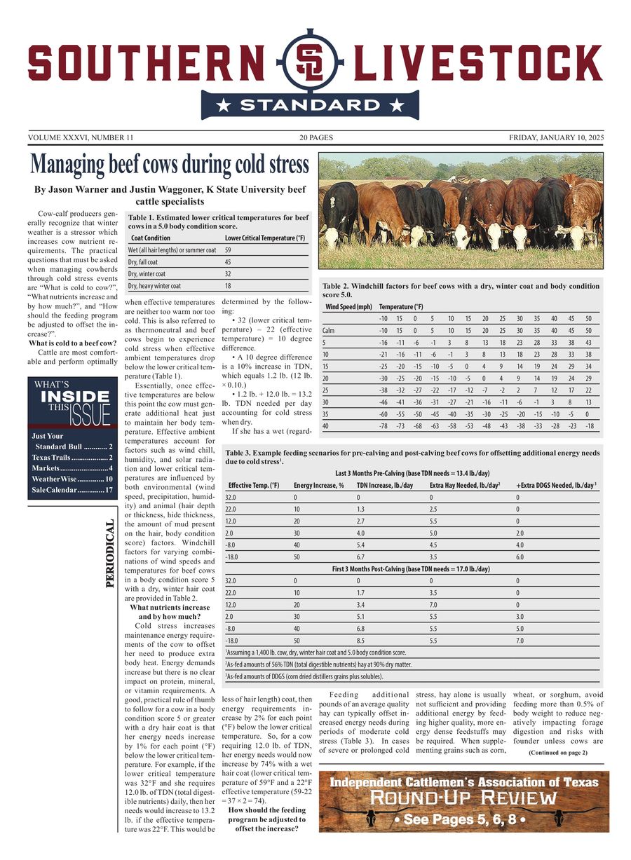 SLS_1-10-25_Flipsnack REV by Michael Sturgess - Flipsnack