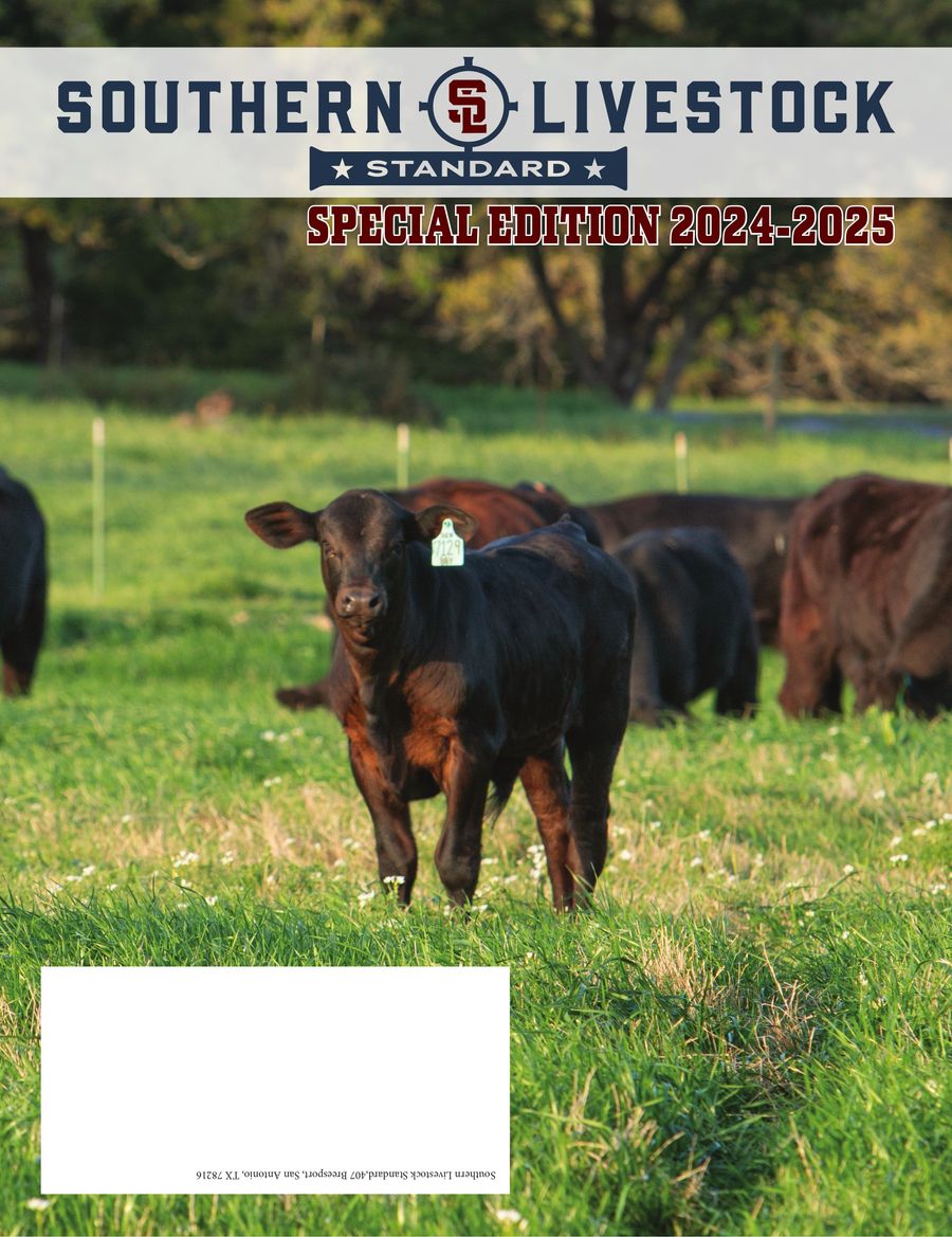 SLS Special_2024-WEB HR by Michael Sturgess - Flipsnack