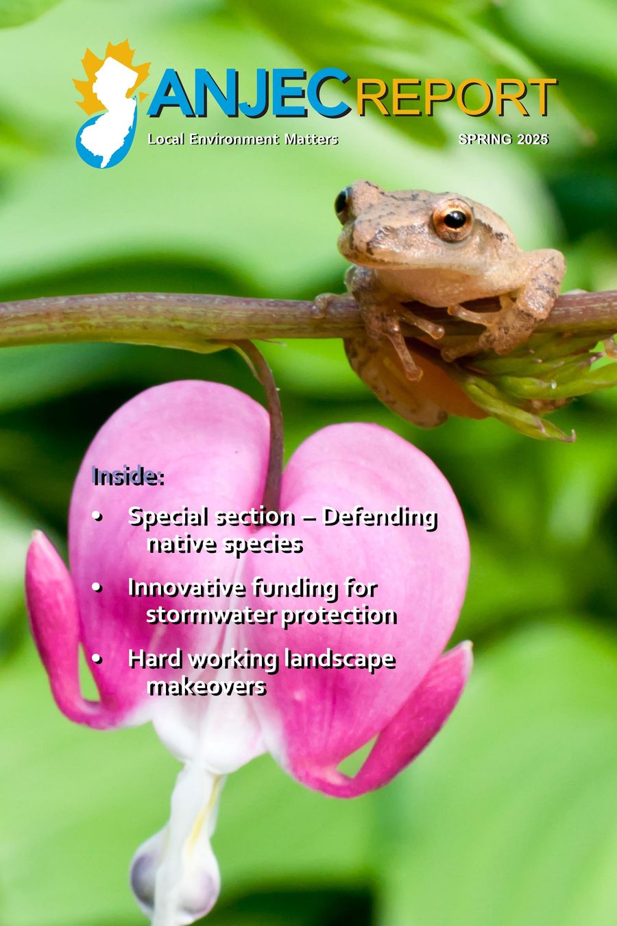 Spring2025-ANJECReport by Elizabeth Ritter - Flipsnack