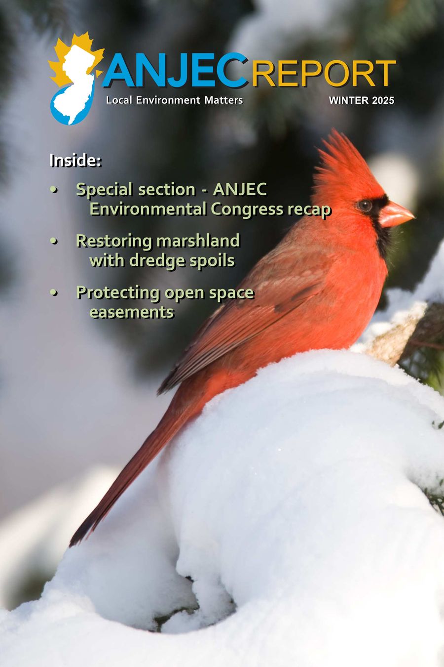 Winter 2025 ANJEC Report by Elizabeth Ritter - Flipsnack