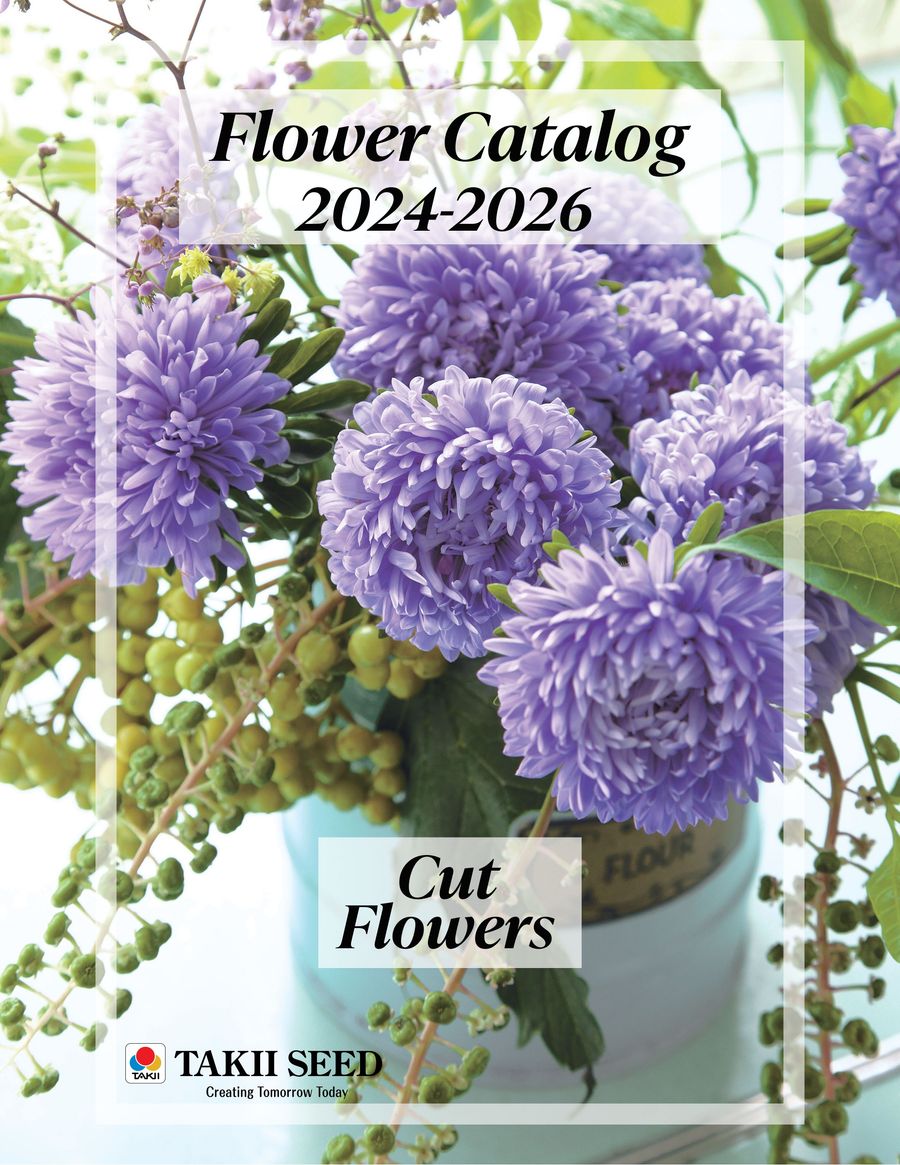 Cut Flower Catalog 2024 ATI by Julia Paul - Flipsnack