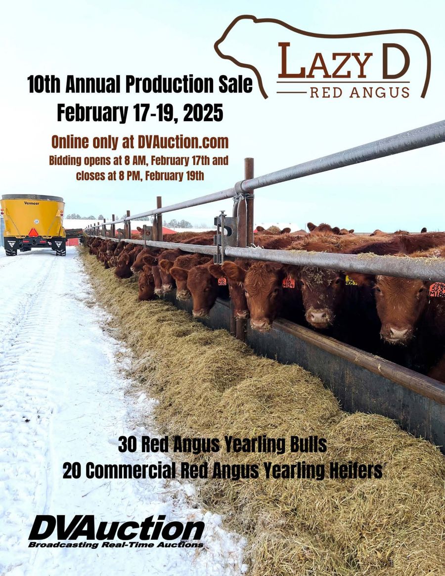 Lazy D Red Angus Annual Production Sale Catalog by Sara Berg - Flipsnack