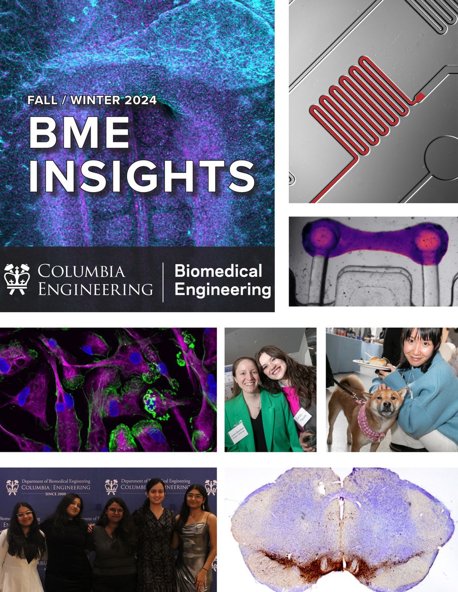 BME Insights_Fall-Winter 2024 (1) by - Flipsnack