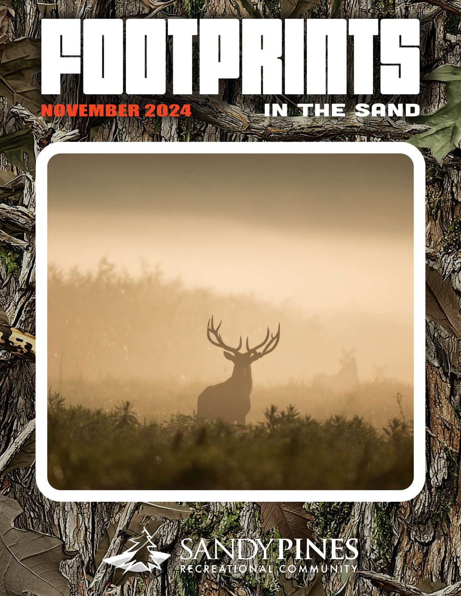 November 2024 Footprints by Ian Mitchell - Flipsnack