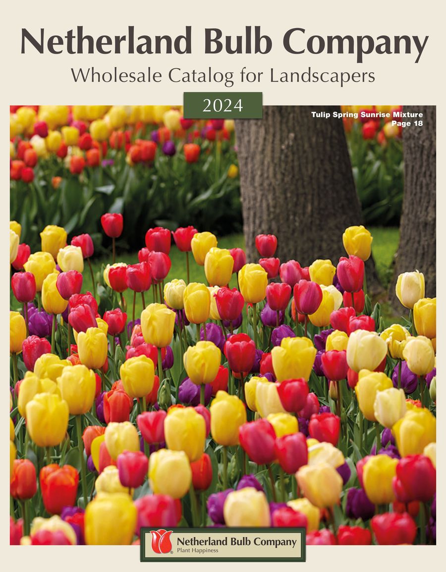 2024 Wholesale E-Catalog for Landscapers (Fall) by Netherland Bulb Co ...