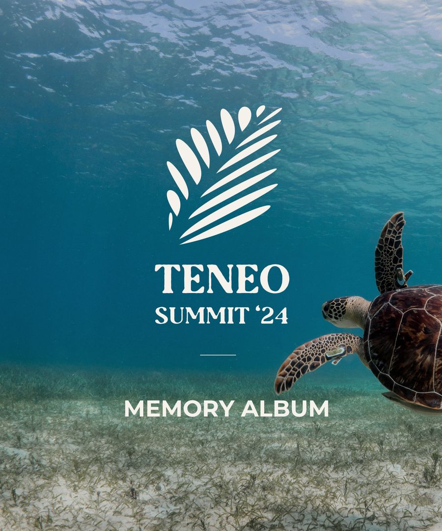 2024 Summit Photo Book by Teneo... - Flipsnack