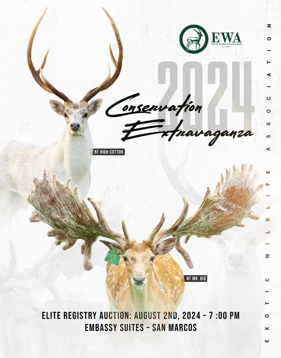 2024_Elite Registry Auction by Suzanne - Flipsnack