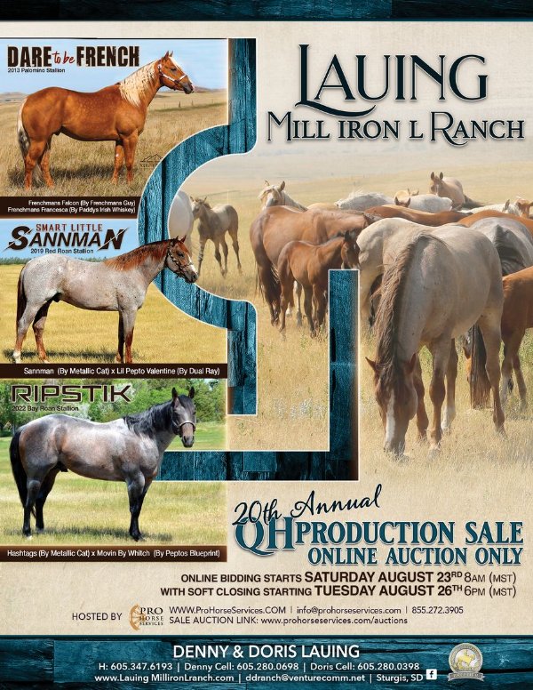 2025 Lauing Catalog by Cassie Hicks - Flipsnack