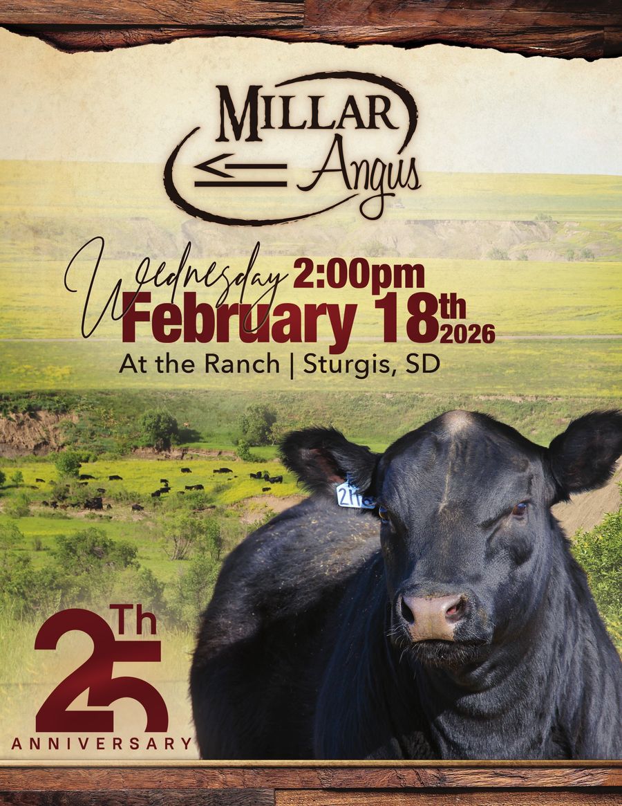 Millar Angus 2026 Catalog by Cassie Hicks - Flipsnack