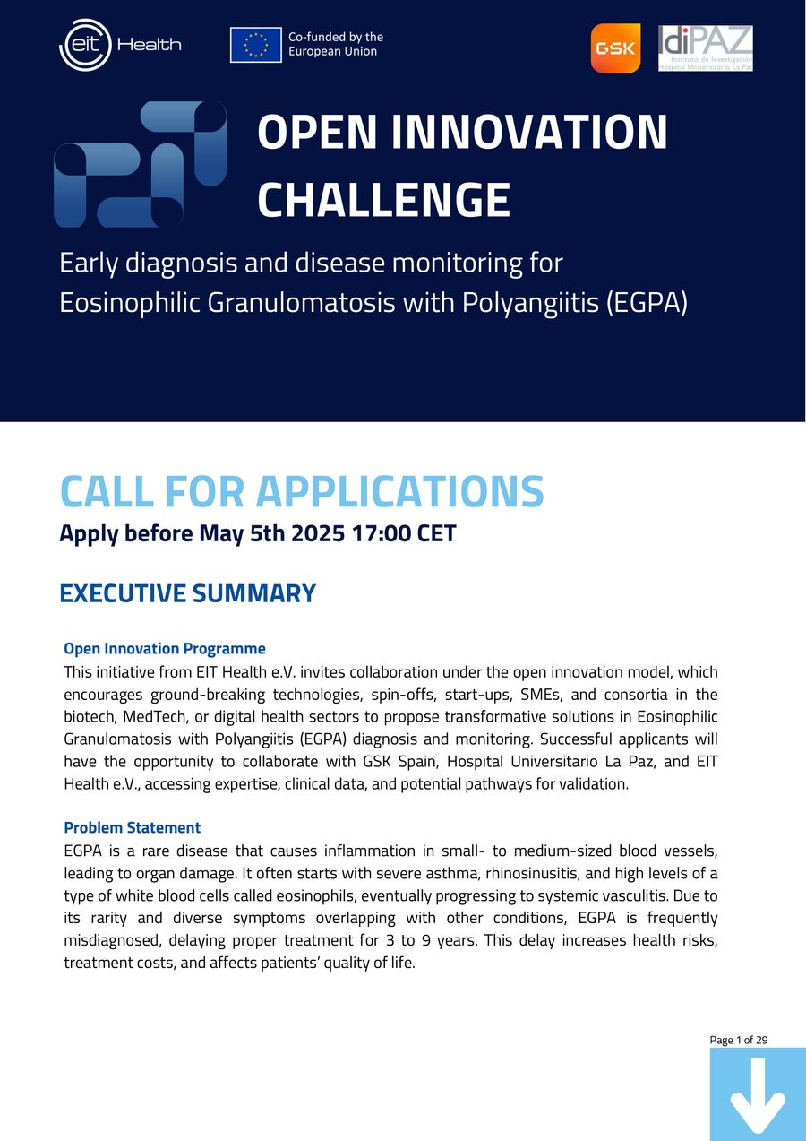 EGPA - Call Document by Maria Grazia - Flipsnack