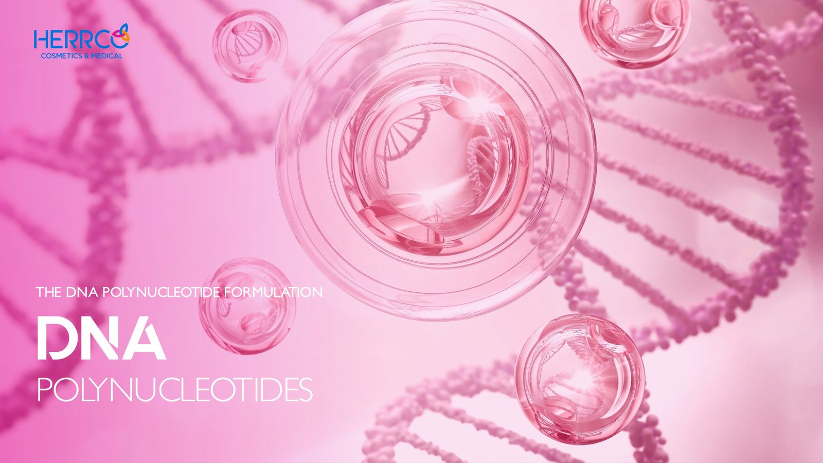 DNA Polynucleotides by Herrco Cosmetics - Flipsnack