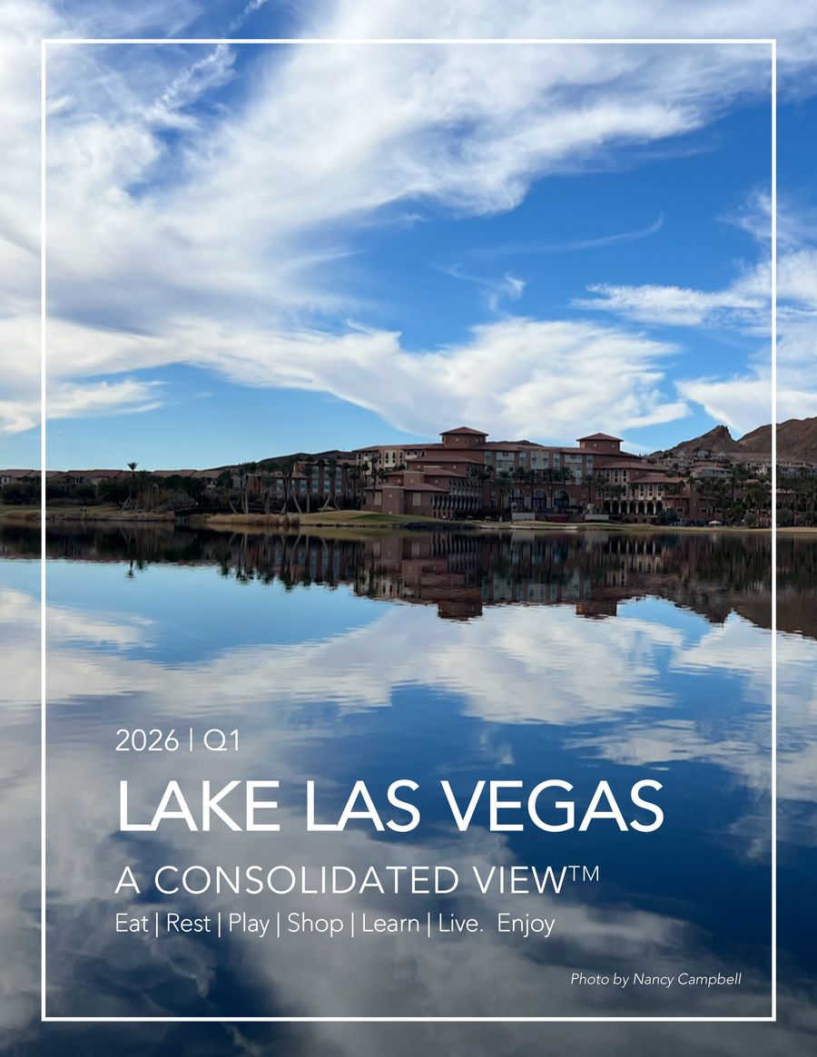 LLV | A Consolidated View (Q1'2026) by Nancy - Flipsnack