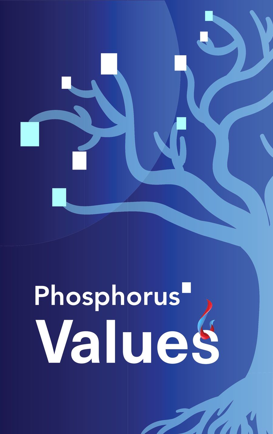 Phosphorus Values by Daniel Craig - Flipsnack