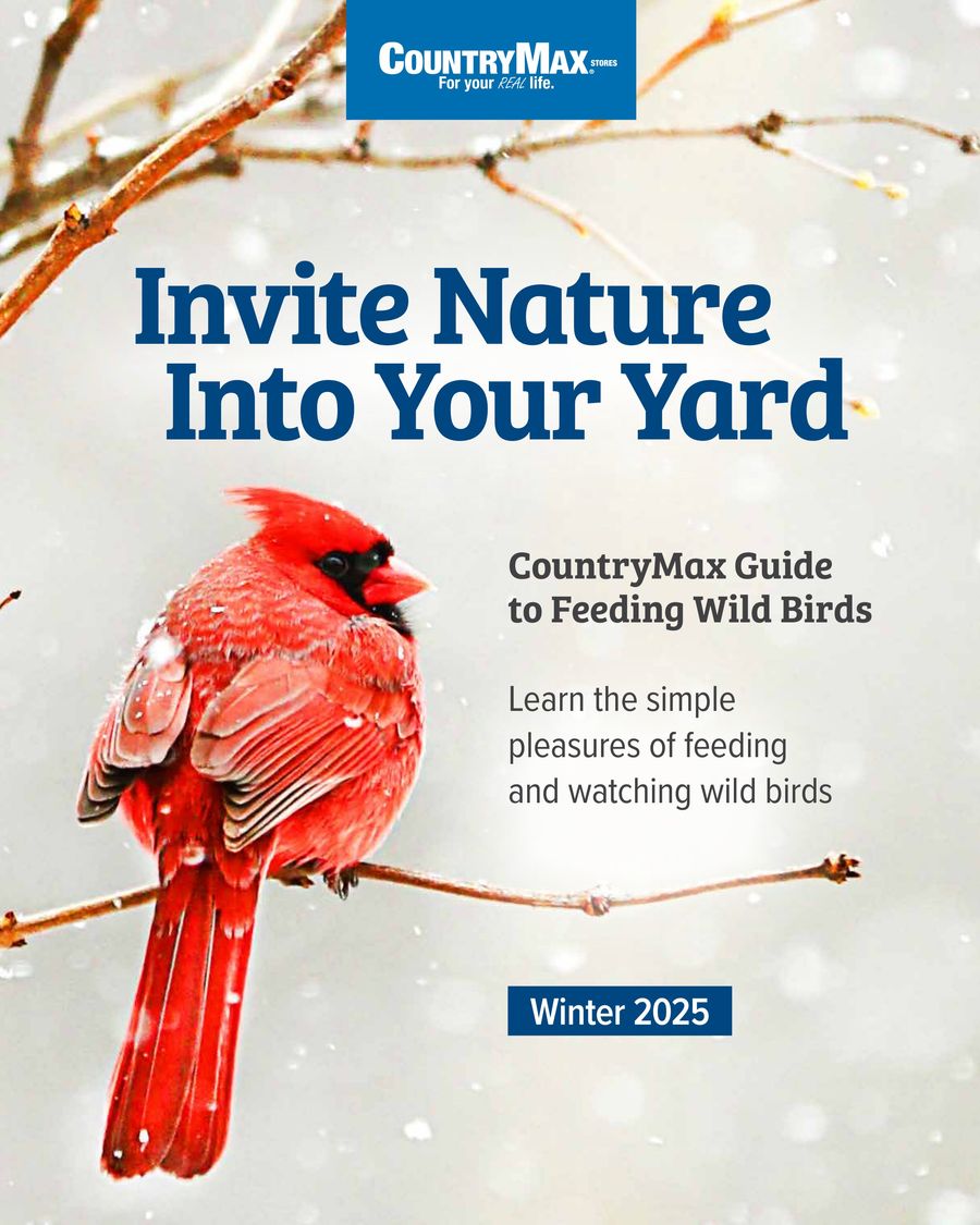 Wild Bird Guide_Winter 2025 by CountryMax - Flipsnack