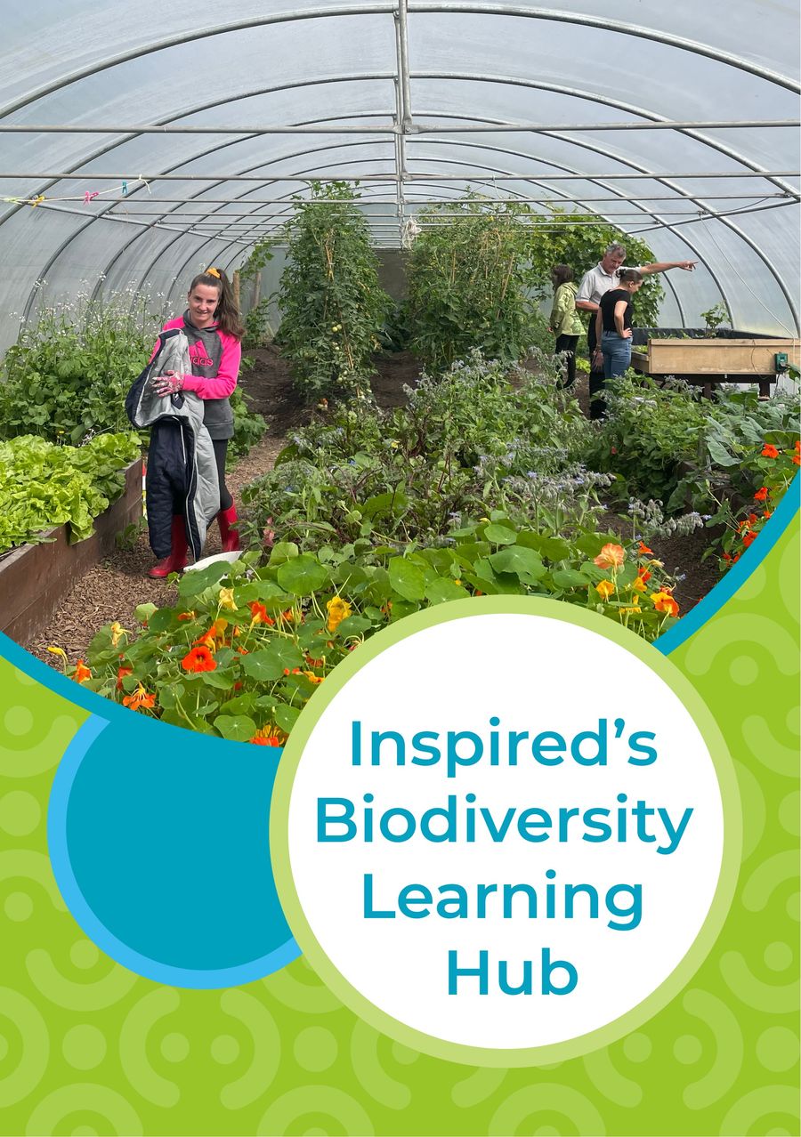 Inspireds Biodiversity Learning Hub by Taylor Maher - Flipsnack
