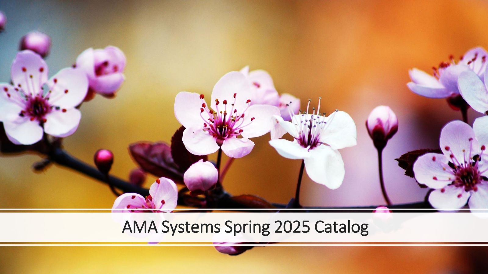 Spring Catalog 2025 by Ted Argeroplos - Flipsnack