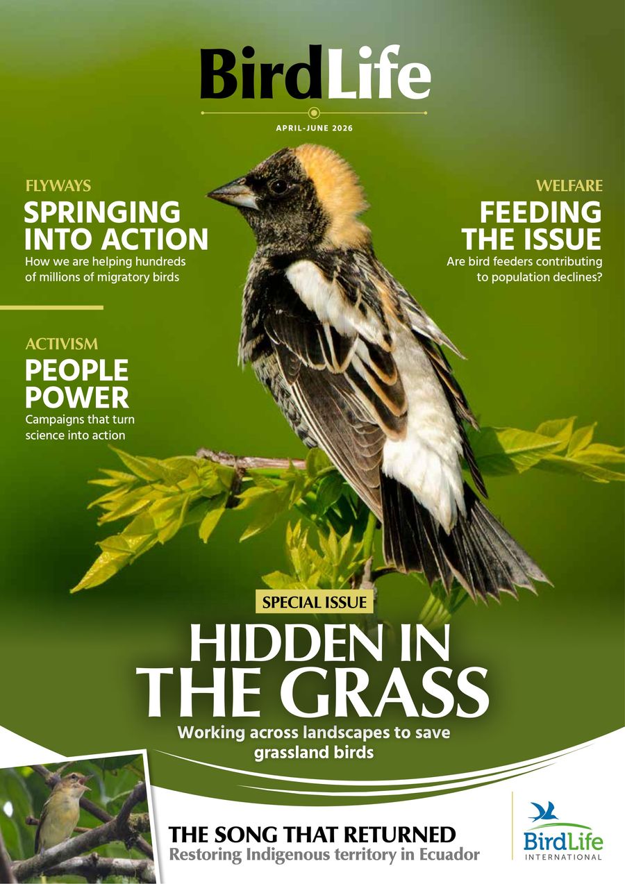 BirdLife Magazine April-June 2026 by BirdLife