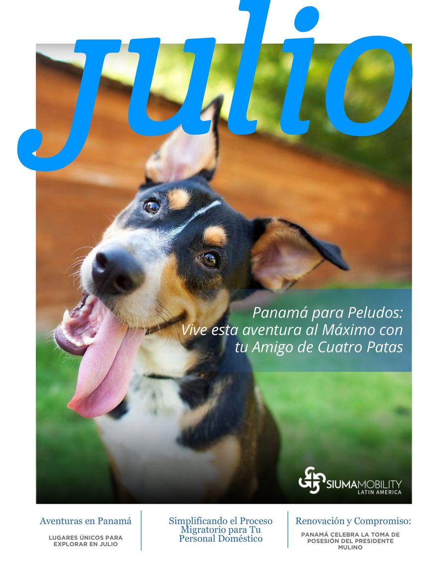 Revista Siuma Mobility Latam Julio 2024 by Siuma Mobility Latam - Flipsnack