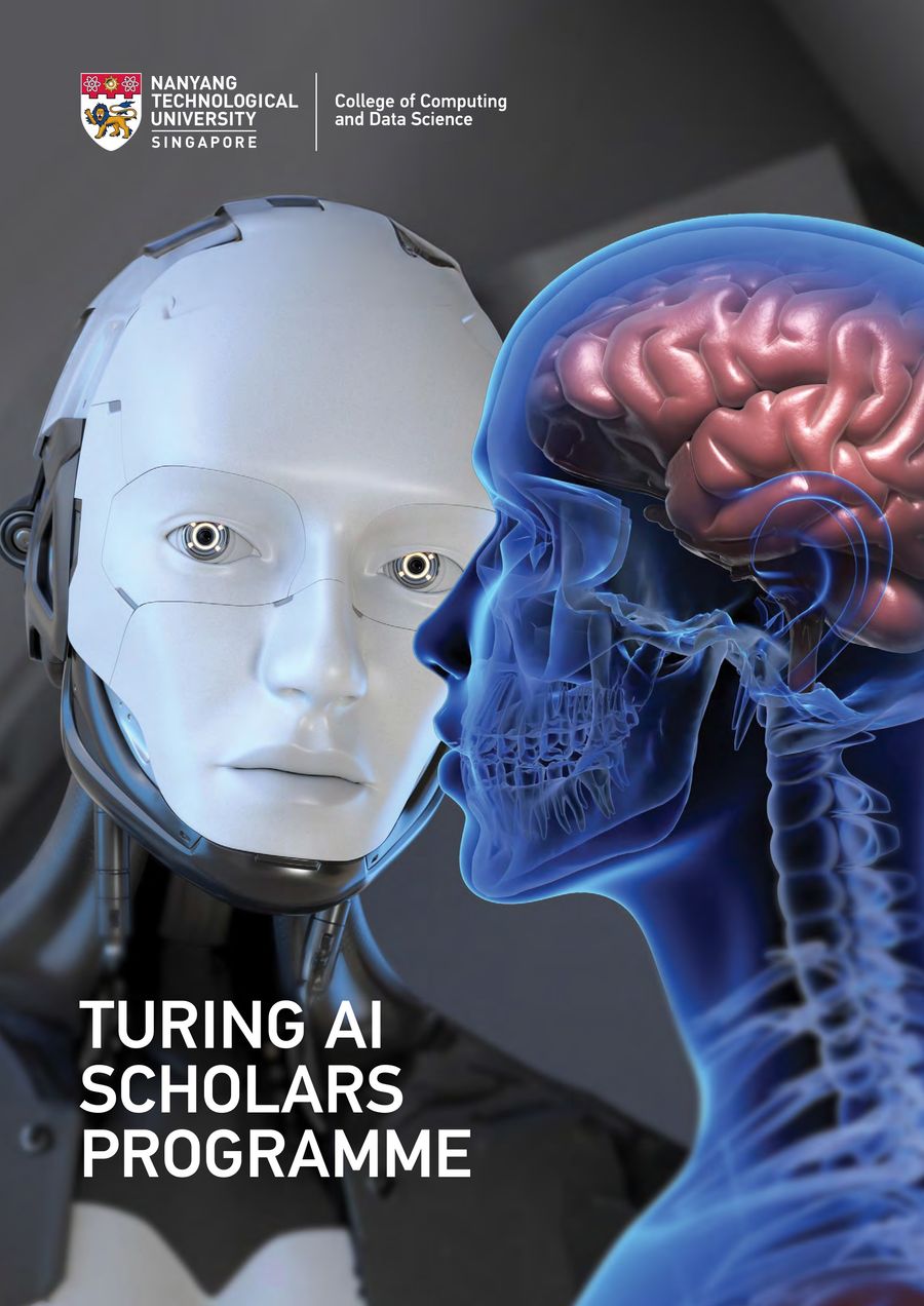 Turing AI Scholars Programme by NTU