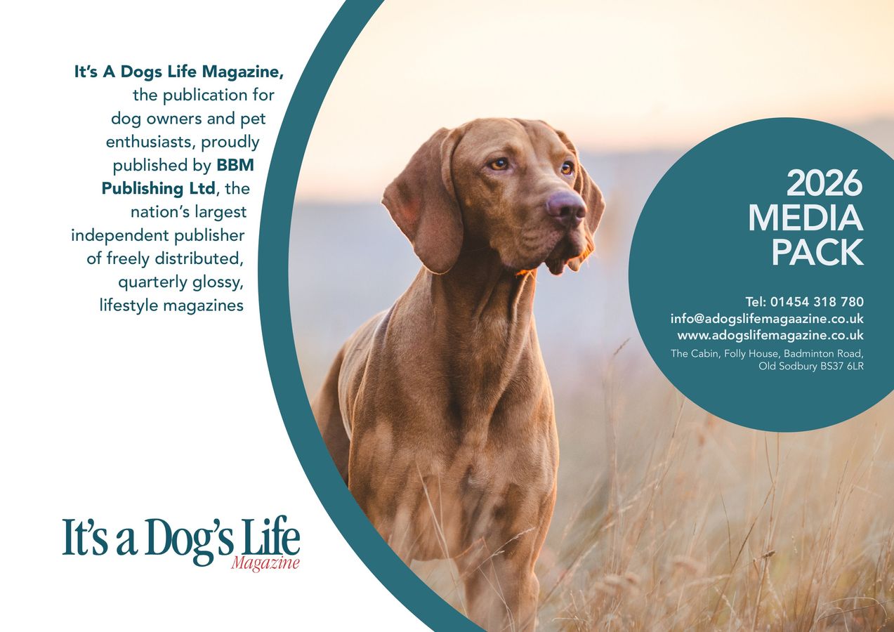 It's a Dogs Life Magazine Media Pack 2026 by BBM Publishing Ltd - Flipsnack
