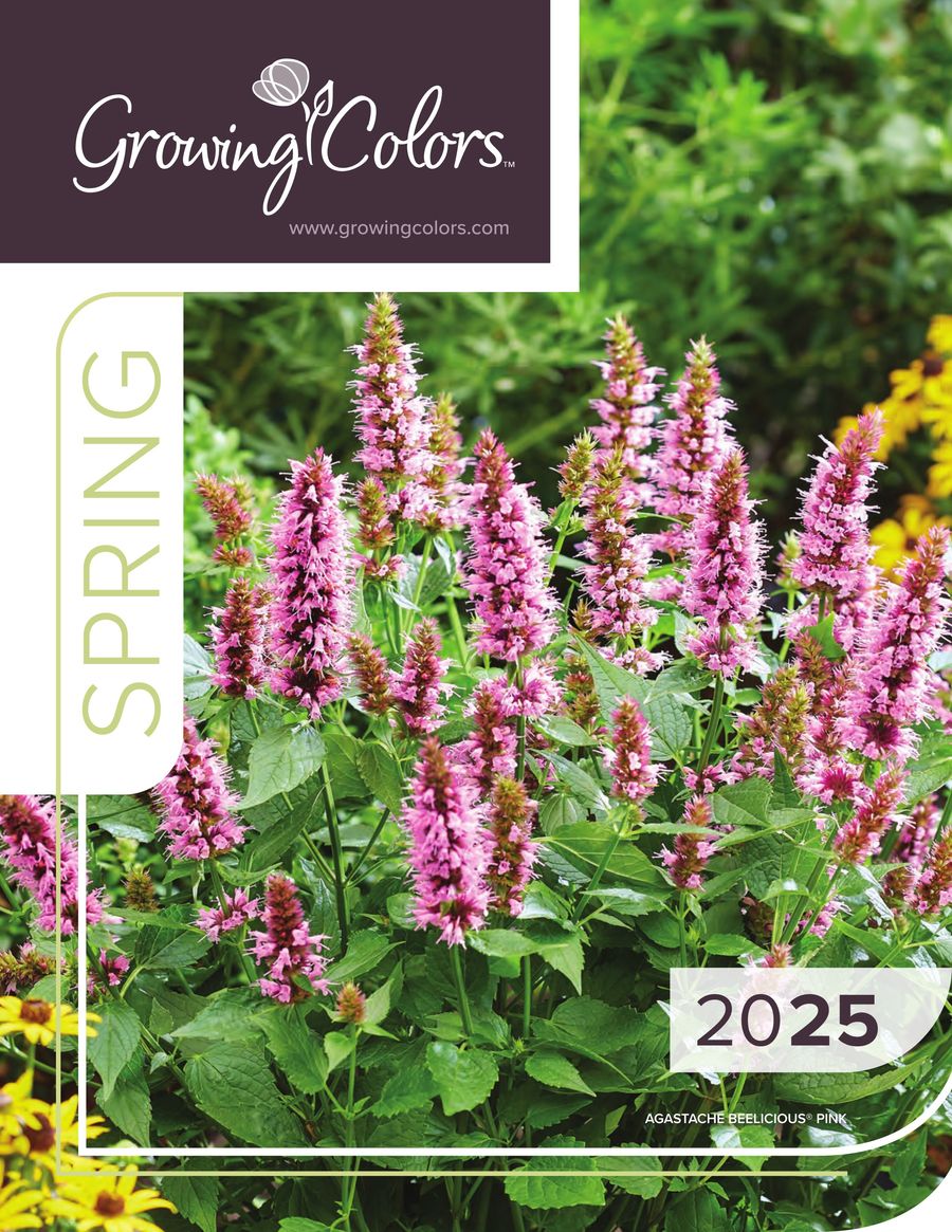 2025 Spring Catalog Flip Book by Jodie van der Sman - Flipsnack