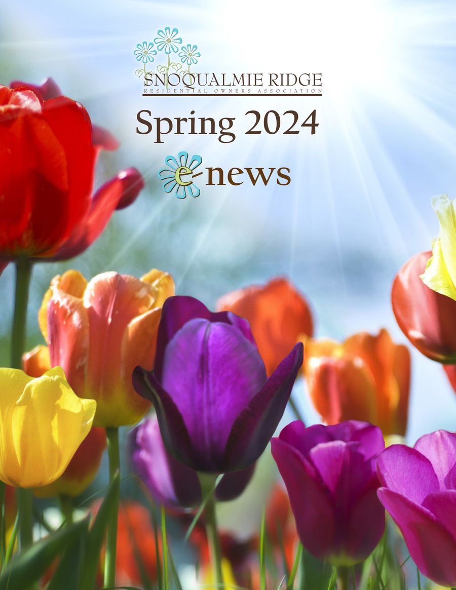 FINAL ROA Spring 2024 by ridgeroa - Flipsnack