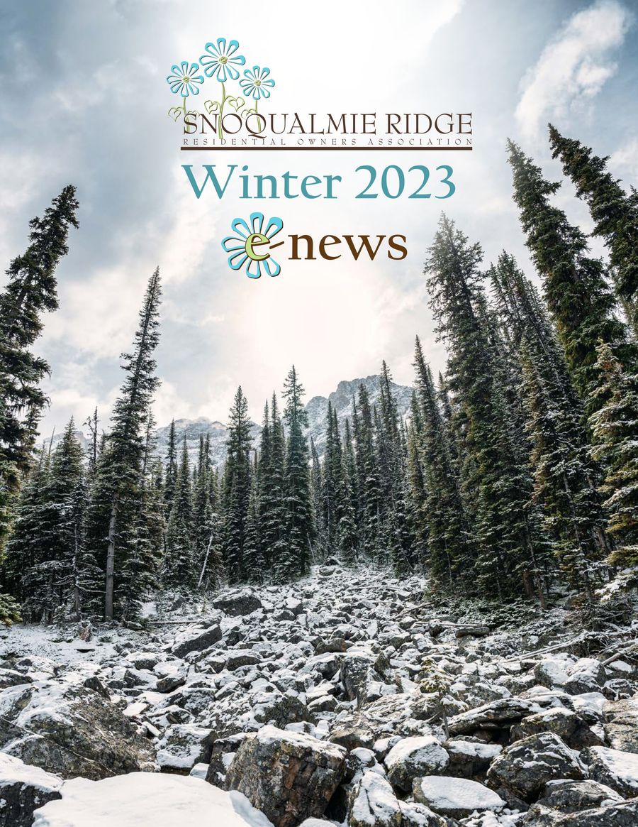 ROA Winter 2023 comp by ridgeroa - Flipsnack