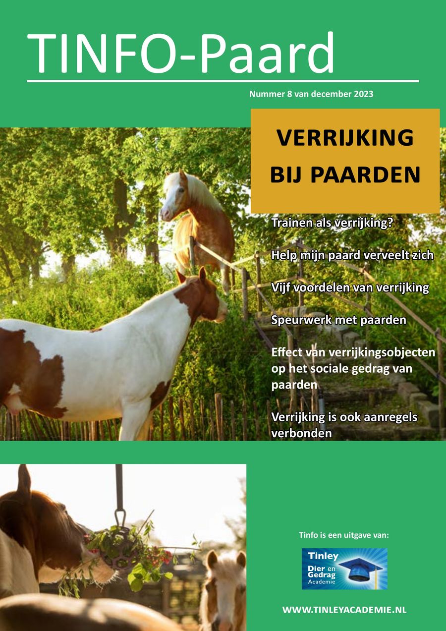Tinfo paard nummer 8 december 2023 by Tinley Academie - Flipsnack