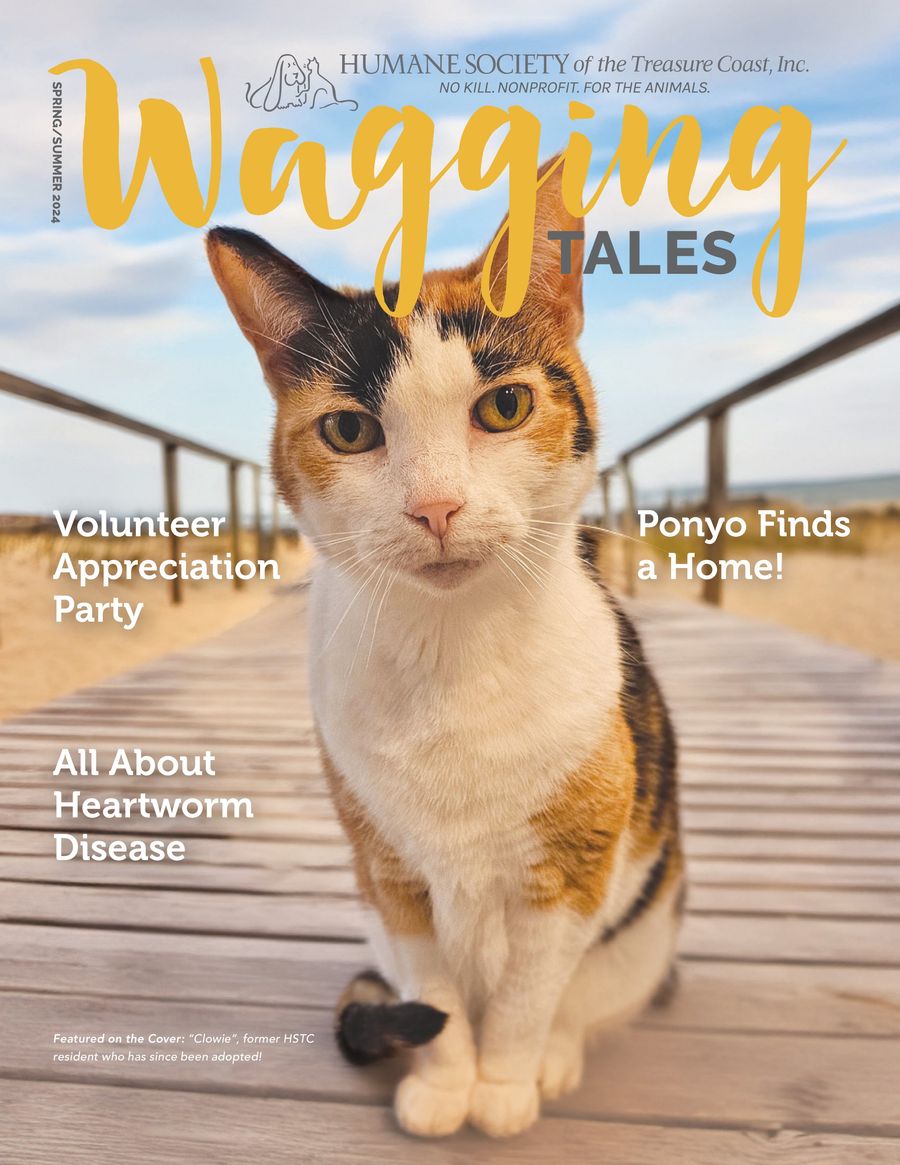 SPRING/SUM 2024 by... - Flipsnack